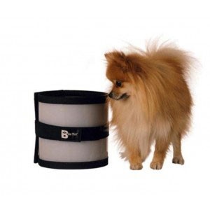 Collier BITENOT - Accessoire pour chien et chat