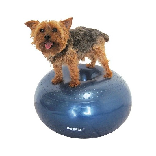 Ballon donut FitPAWS