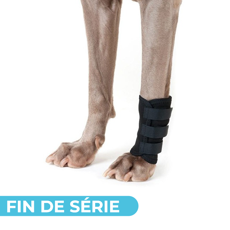 Attelles pour chiens pattes avant, matériel vétérinaire pour chien
