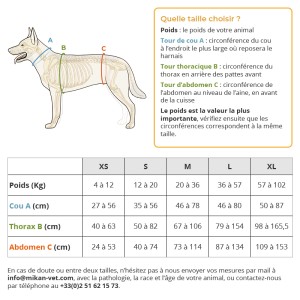 Harnais total pour chien Harnais HELP EM UP
